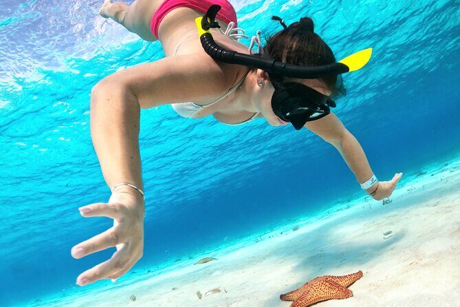 Cozumel Private Snorkeling and Charter Experience - Why Choose This Private Snorkeling Tour?