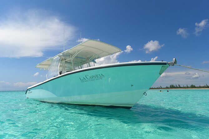 Cozumel Private Snorkeling and Charter Experience - Logistics and Value