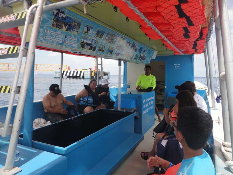 Cozumel: Private VIP Glass Bottom-Boat and Snorkeling Tour - Authentic Experiences and Traveler Feedback