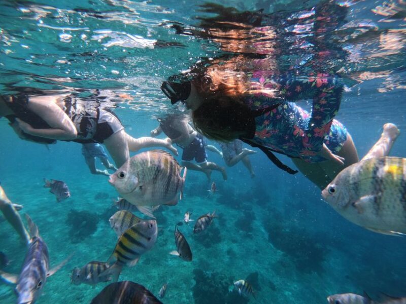 Cozumel: Private VIP Glass Bottom-Boat and Snorkeling Tour - Who Should Book This Tour?