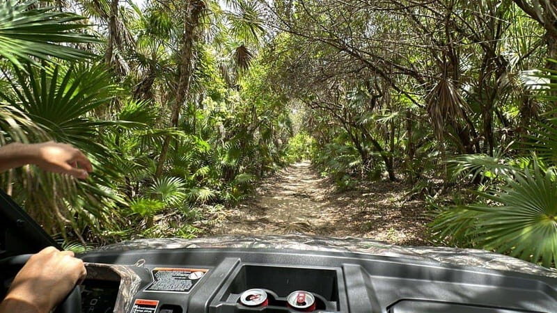 Cozumel: Private Xrail Buggy Adventure to Virgin Beach - Cozumel: Private Xrail Buggy Adventure to Virgin Beach