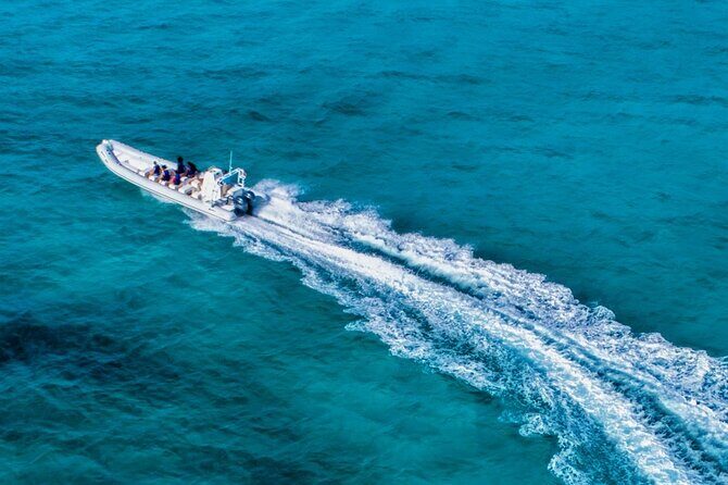 Cozumel Reef Snorkeling Tour - San Miguel de Cozumel: A Taste of the Town