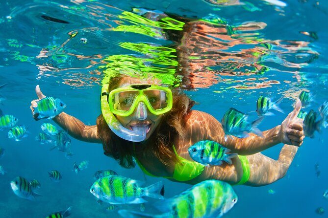 Cozumel Reef Snorkeling Tour - Transportation and Timing Details