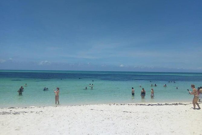 Cozumel round transportation to the beaches - Who Will Enjoy This Tour?