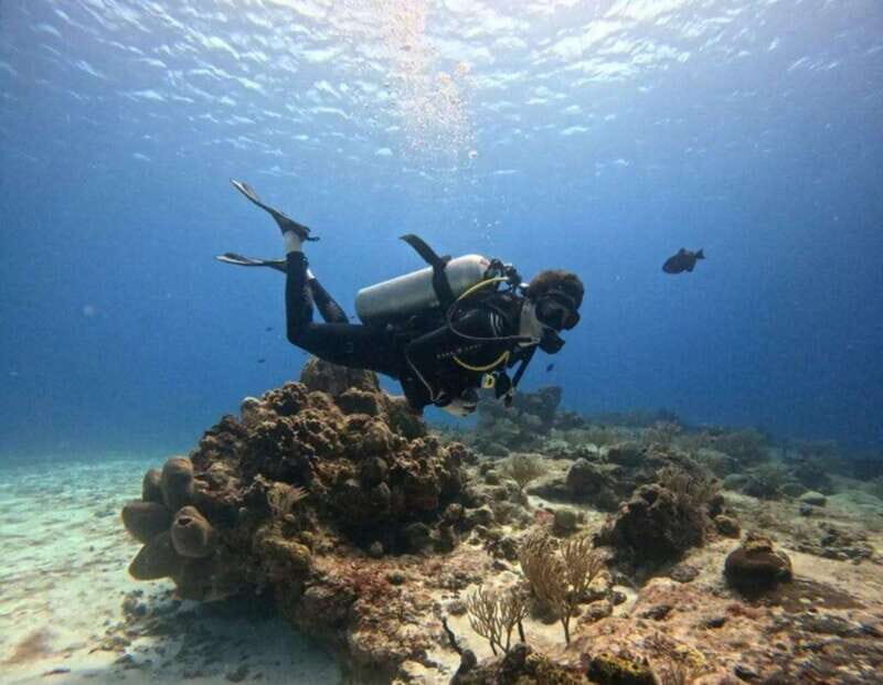 Cozumel Scuba Diving: 2 Tanks in the National Park for certified divers - Introduction: Why This Tour Stands Out