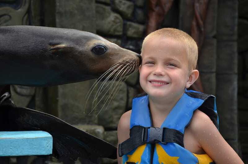 Cozumel: Sea Lion Program at Chankanaab Beach Adventure Park - Final Thoughts