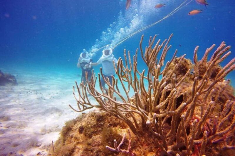 Cozumel: Sea Trek Adventure at Chankanaab National Park - What is the Sea Trek Adventure?