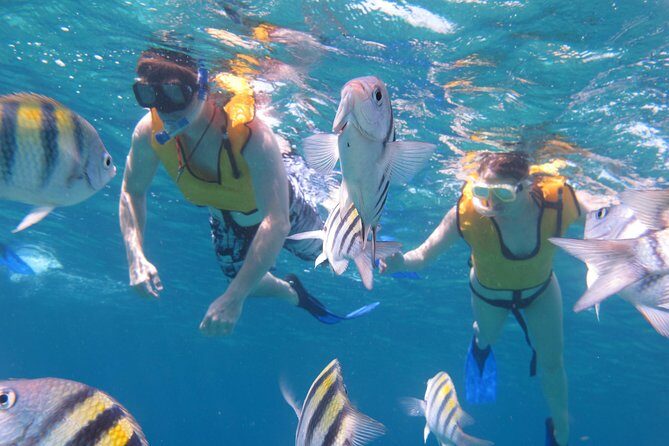 Cozumel Shore Excursion: Playa Uvas Private Beach Pass - FAQ: Your Practical Questions Answered
