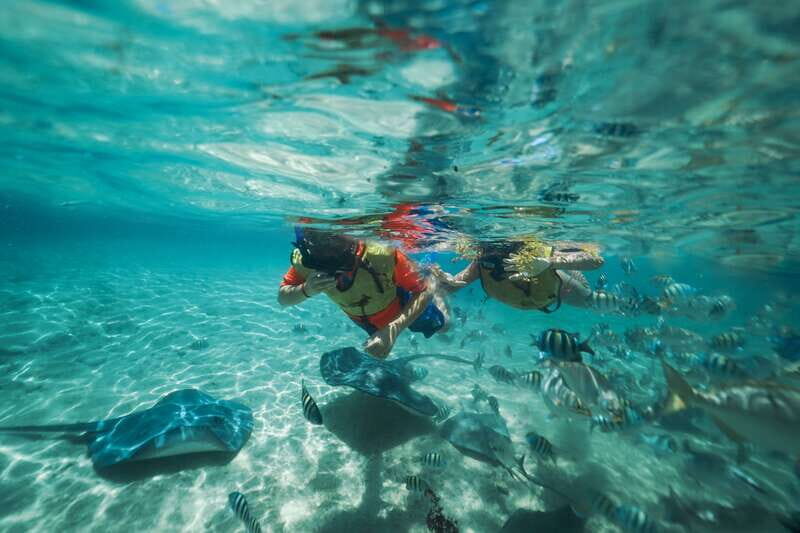 Cozumel: Snorkel and Swim with Stingrays - The Encounter: Feeding and Touching Stingrays
