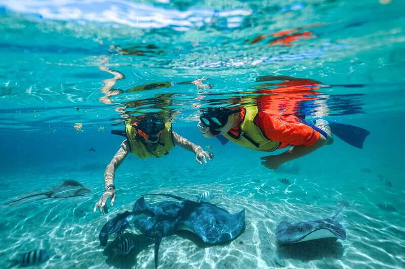 Cozumel: Snorkel and Swim with Stingrays - Price and Value