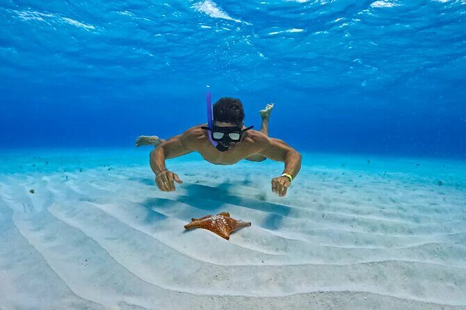 Cozumel: Snorkel at El Cielo, Colombia Reef & Palancar Reef - Key Points