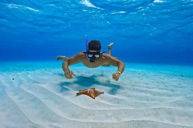 Cozumel: Snorkel at El Cielo, Colombia Reef & Palancar Reef - Transportation & Group Size