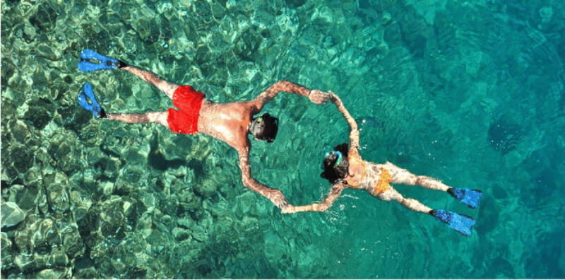Cozumel: Snorkeling Adventure - Authentic Experiences and Real-World Insights