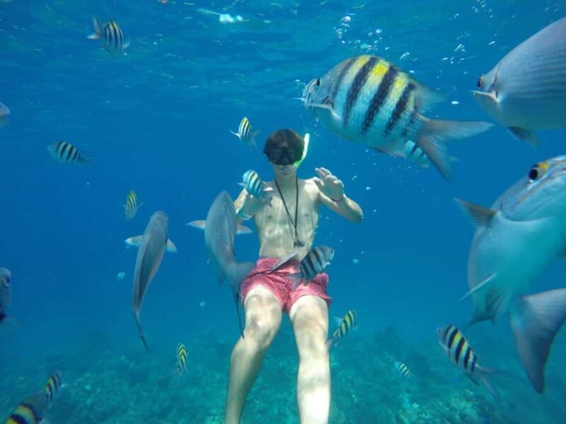Cozumel: Snorkeling at Playa El Cielo with drinks, ceviche, and more - Key Points