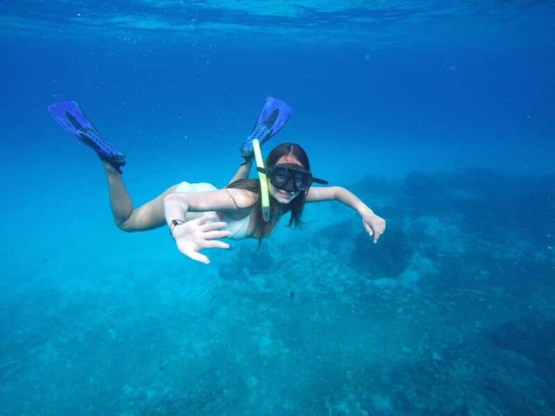 Cozumel: Snorkeling at Playa El Cielo with drinks, ceviche, and more - An In-Depth Look at the Cozumel Snorkel Tour