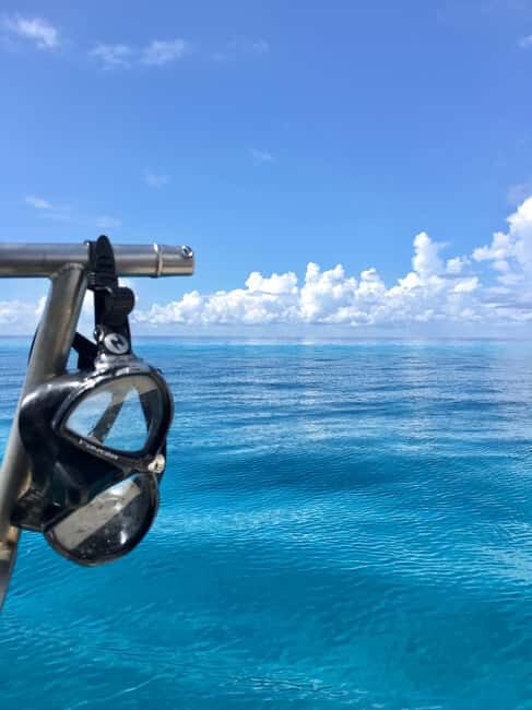 Cozumel: Snorkeling Boat Tour - FAQ: Questions & Answers