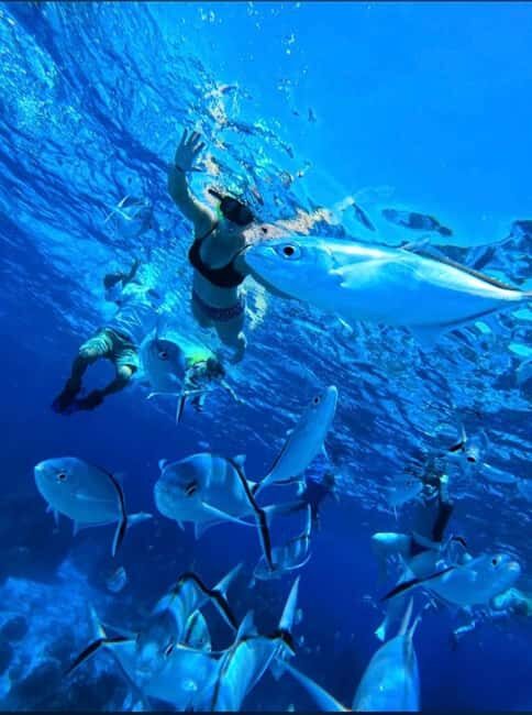 Cozumel: snorkeling on reefs + visit to "El Cielo" - What to Expect: An Honest Breakdown