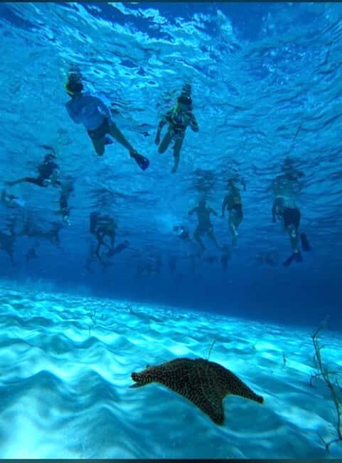 Cozumel: snorkeling on reefs + visit to "El Cielo" - Who Should Consider This Tour?