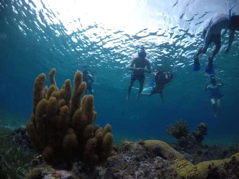 Cozumel: snorkeling on reefs + visit to "El Cielo" - The Sum Up: Is It Worth It?