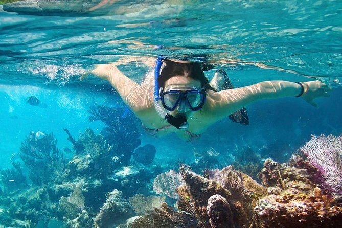 Cozumel Snorkeling Tour at Palancar & Colombia Reefs and El Cielo - An In-Depth Look at the Tour Experience