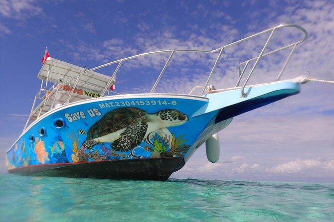 Cozumel Snorkeling Tour at Palancar & Colombia Reefs and El Cielo - FAQs