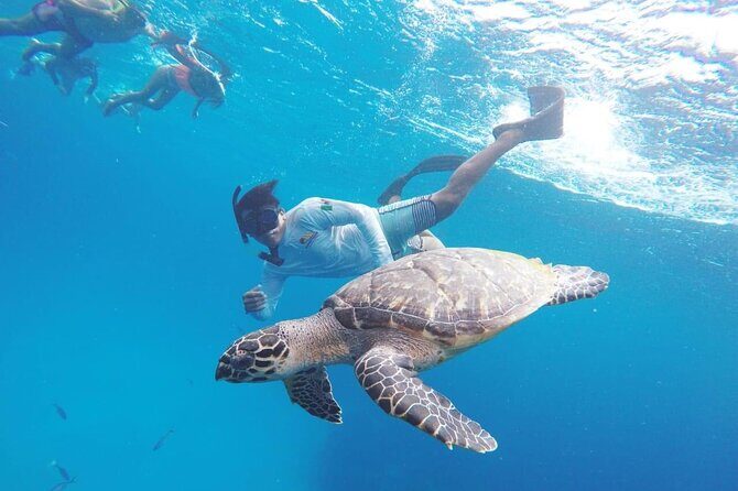 Cozumel Snorkeling Tour: Palancar, Columbia and El Cielo Reefs - What Makes This Tour Stand Out?