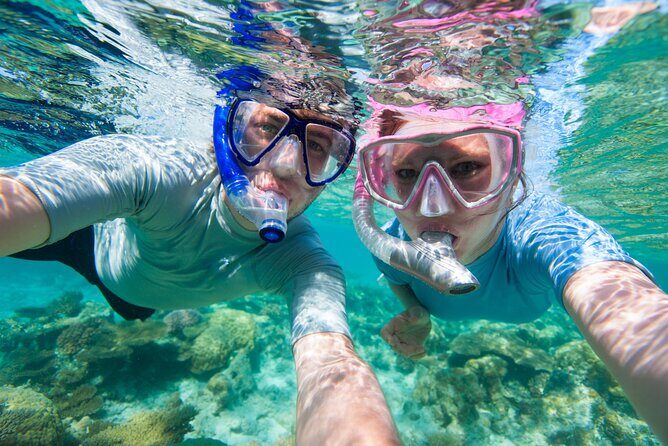 Cozumel Snorkeling Tour to Palancar Reef and El Cielo - A Closer Look at the Experience