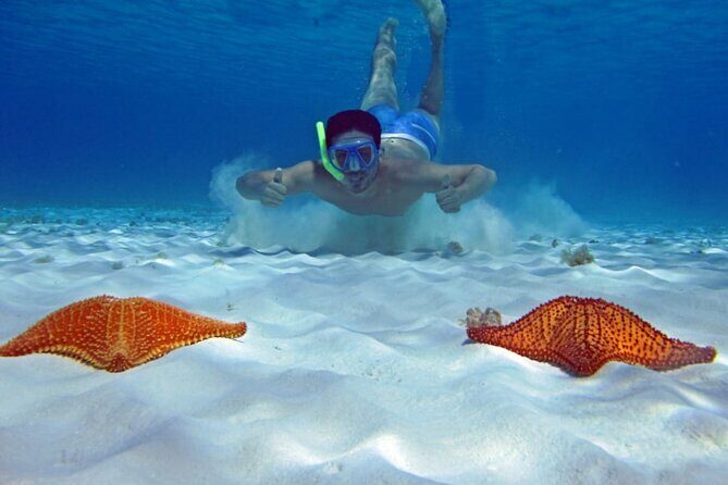 Cozumel Snorkeling Tour to Palancar Reef and El Cielo - The Value Proposition