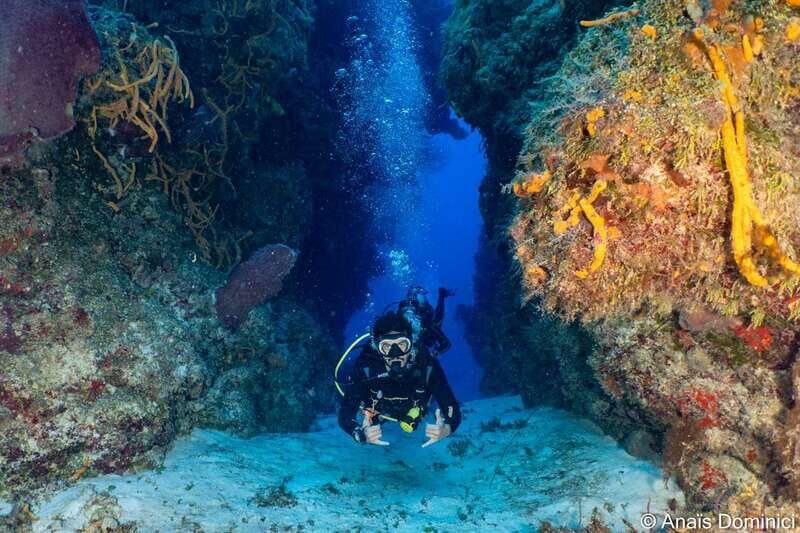 Cozumel: South Marine Park & Cozumel Reef Scuba Diving Tour - Final Thoughts: Is It Worth It?