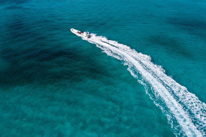 Cozumel Starfish and Tropical Reef Snorkeling by Powerboat with Lunch - The itinerary: A detailed look
