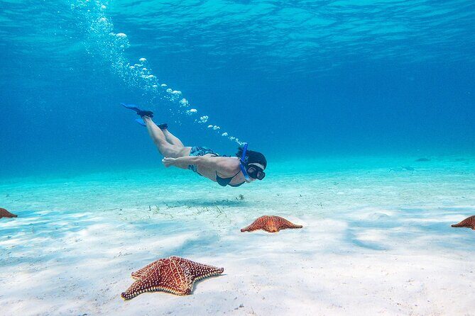 Cozumel Starfish and Tropical Reef Snorkeling by Powerboat with Lunch - Final thoughts