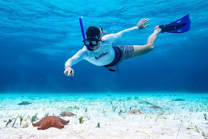 Cozumel Starfish and Tropical Reef Snorkeling by Powerboat with Lunch - FAQs