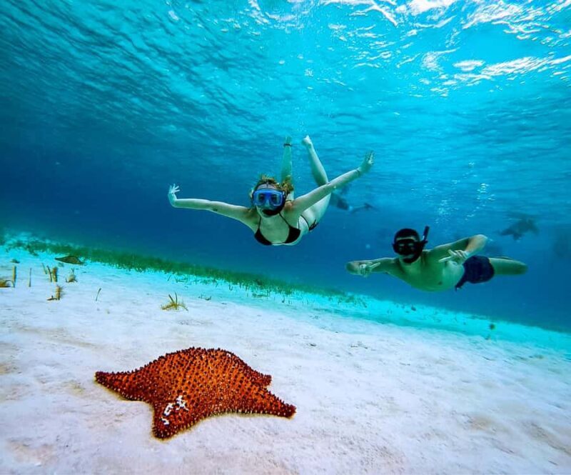 Cozumel: Starfish, Rays and El Cielo Snorkeling Experience - Value and Practical Tips