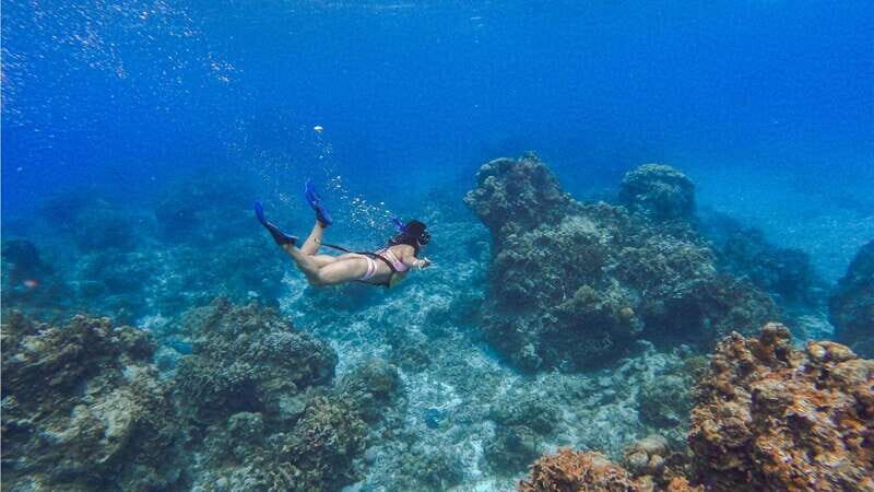 Cozumel: Transparent bottom boat tour and snorkeling activity. - Exploring Cozumel’s Transparent Bottom Adventure