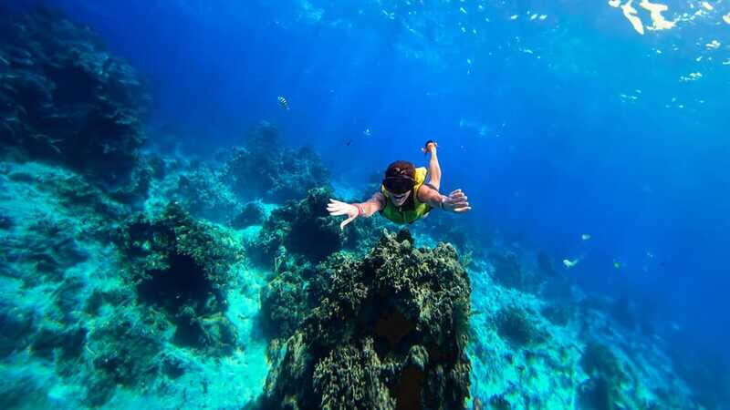 Cozumel: Transparent bottom boat tour and snorkeling activity. - FAQ