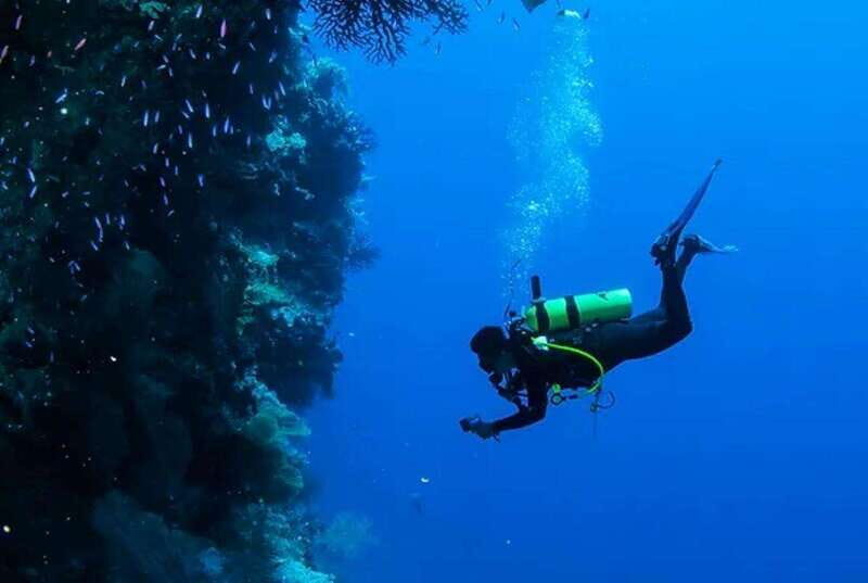 Cozumel: Twilight and Night Dive for Certified Divers - The Experience: What Makes It Special