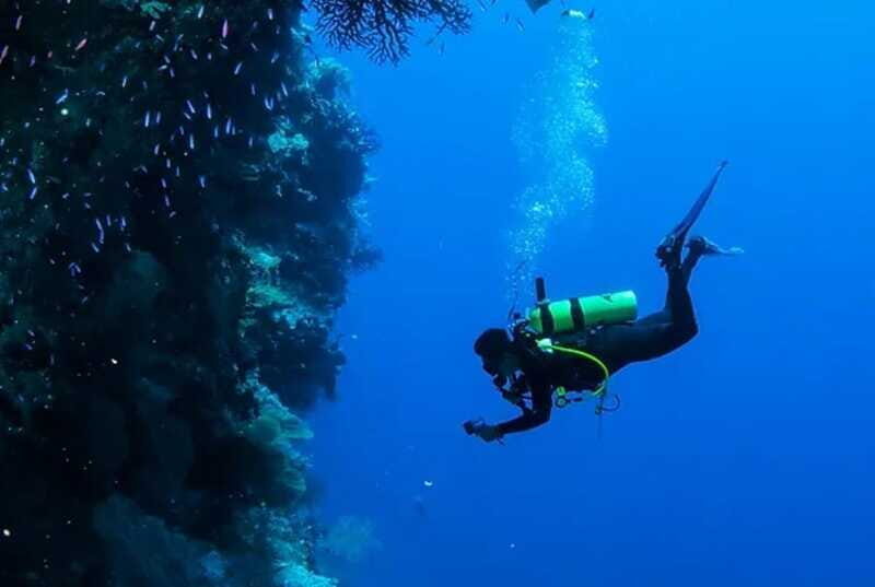 Cozumel: Twilight and Night Dive for Certified Divers - Practical Details: Making Your Dive Safe and Enjoyable