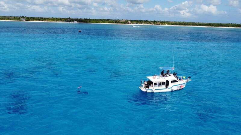 Cozumel: Two reef dives in Marine Park, certified divers - Key Points