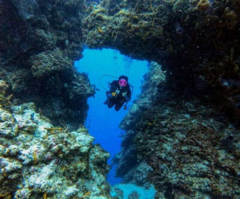 Cozumel: Two reef dives in Marine Park, certified divers - Introduction: An Underwater Adventure for Certified Divers