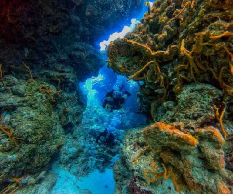 Cozumel: Two reef dives in Marine Park, certified divers - Practical Tips for Visitors