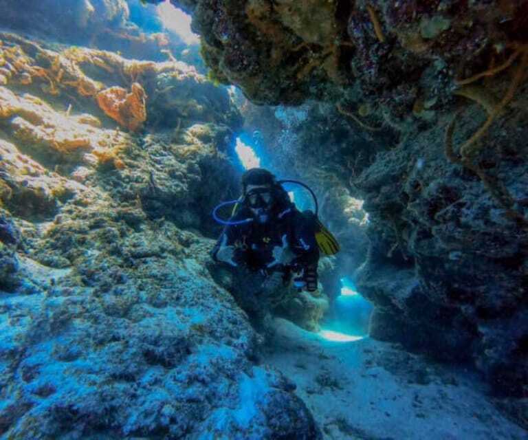 Cozumel: Two reef dives in Marine Park, certified divers - Final Thoughts: Who Will Love This Experience