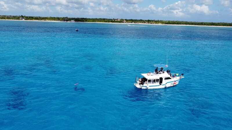 Cozumel: Two reef dives in Marine Park, certified divers - Frequently Asked Questions (FAQs)