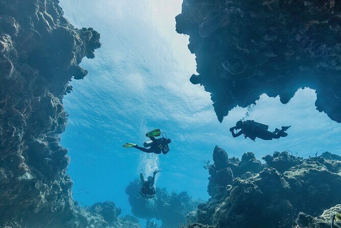 Cozumel underwater 2 Tank Dive by boat - Discovering the Cozumel Underwater Experience