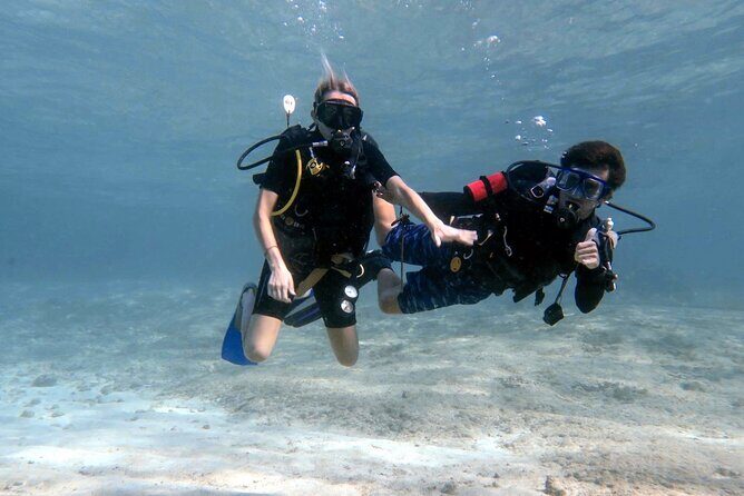 Cozumel underwater 2 Tank Dive by boat - Who Will Appreciate This Tour?