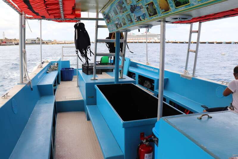 Cozumel: VIP Glass Bottom Boat & Snorkeling 3 Reefs Tour - An In-Depth Look at the Tour Experience