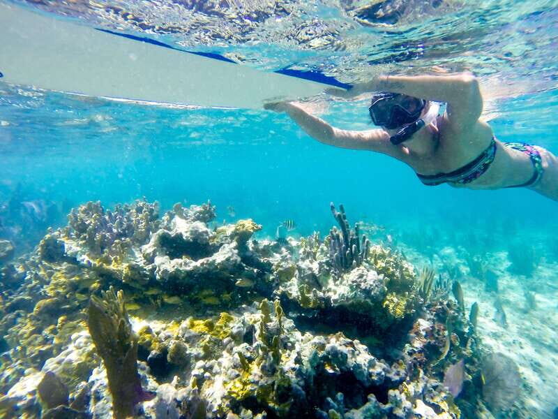 Cozumel: West Coast E-Bike and Snorkeling Tour - Who Will Love This Tour?