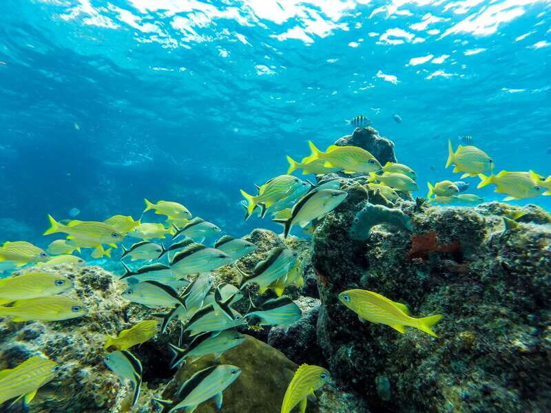 Cozumel: West Coast E-Bike and Snorkeling Tour - FAQ