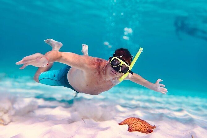Cozumel's Best: Snorkel Adventure in El Cielo and El Cielito - Introduction: A Fun-Filled Snorkel Day with a Caribbean Party