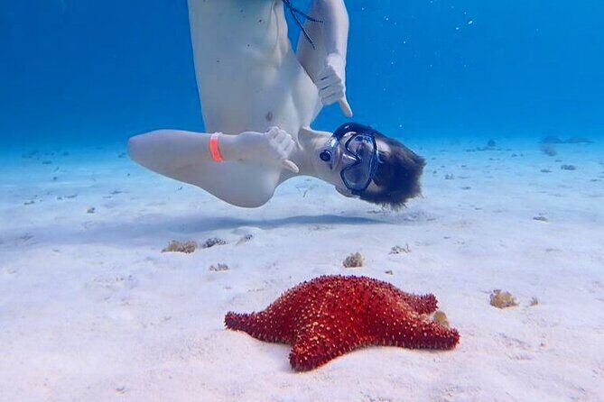 Cozumel's Best: Snorkel Adventure in El Cielo and El Cielito - FAQ: Practical Questions Answered