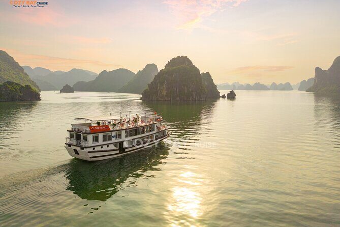 Cozy Bay Cruises - Best Boutique Cruise in Halong Bay 2D/1N Tour - FAQ: Your Practical Questions Answered